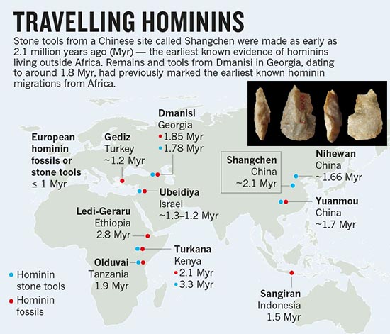 Sexual Paradox: Human Evolution